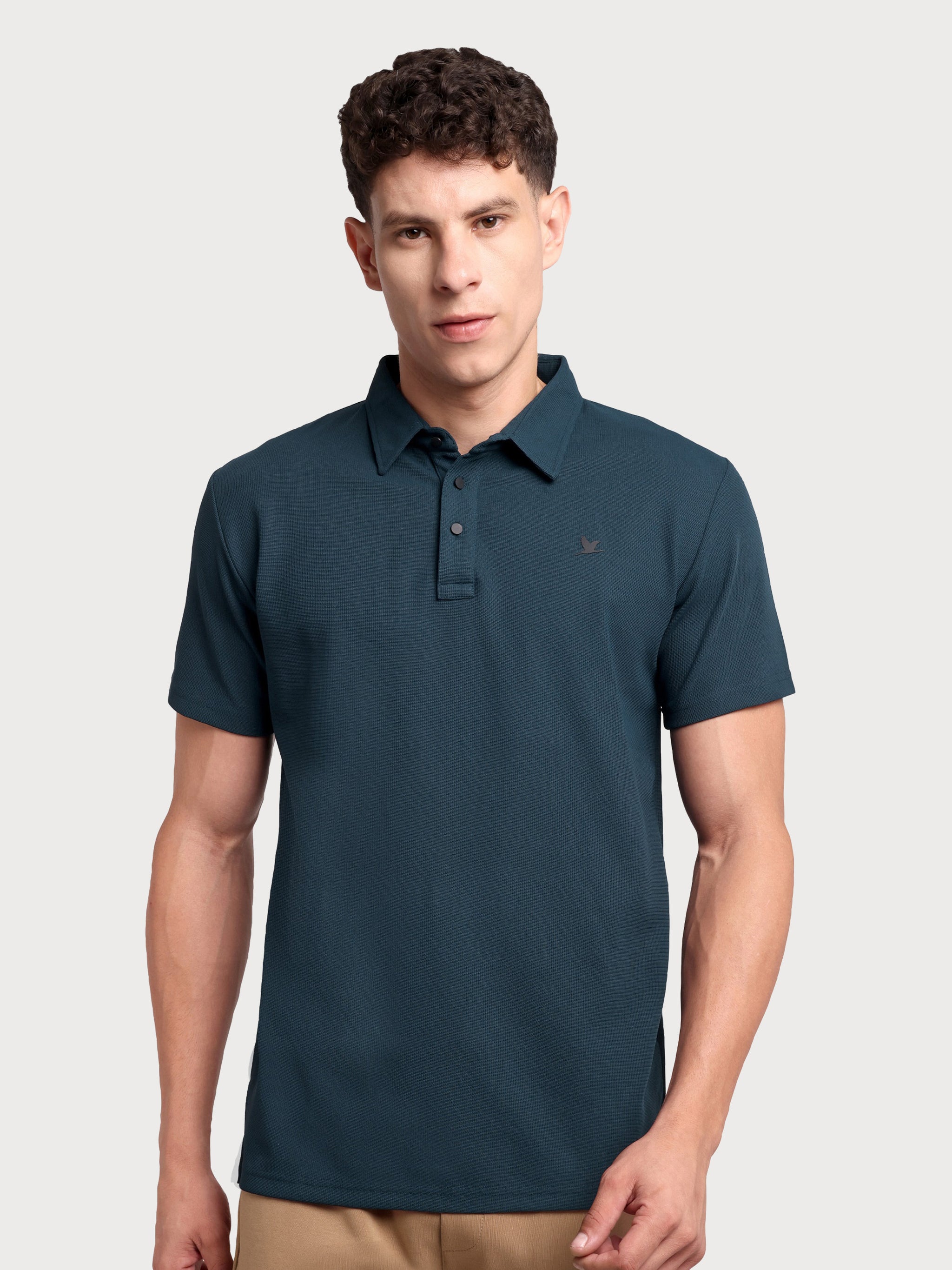 Stallion Polo German Blue